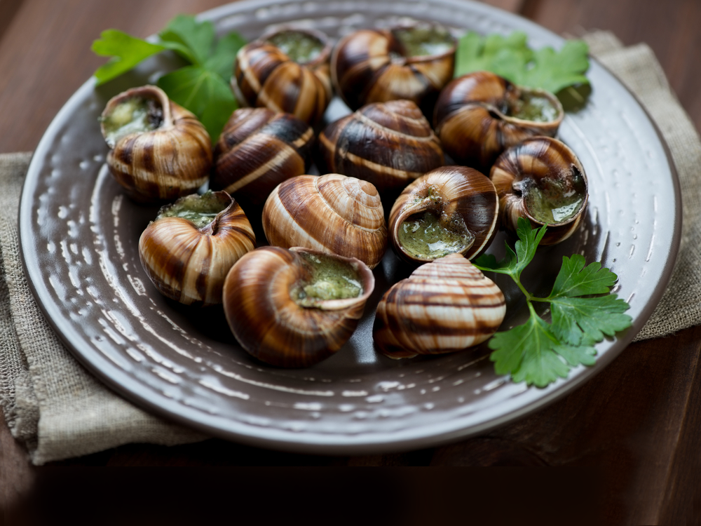 Bellante: la Sagra delle Lumache - Giulianova.it