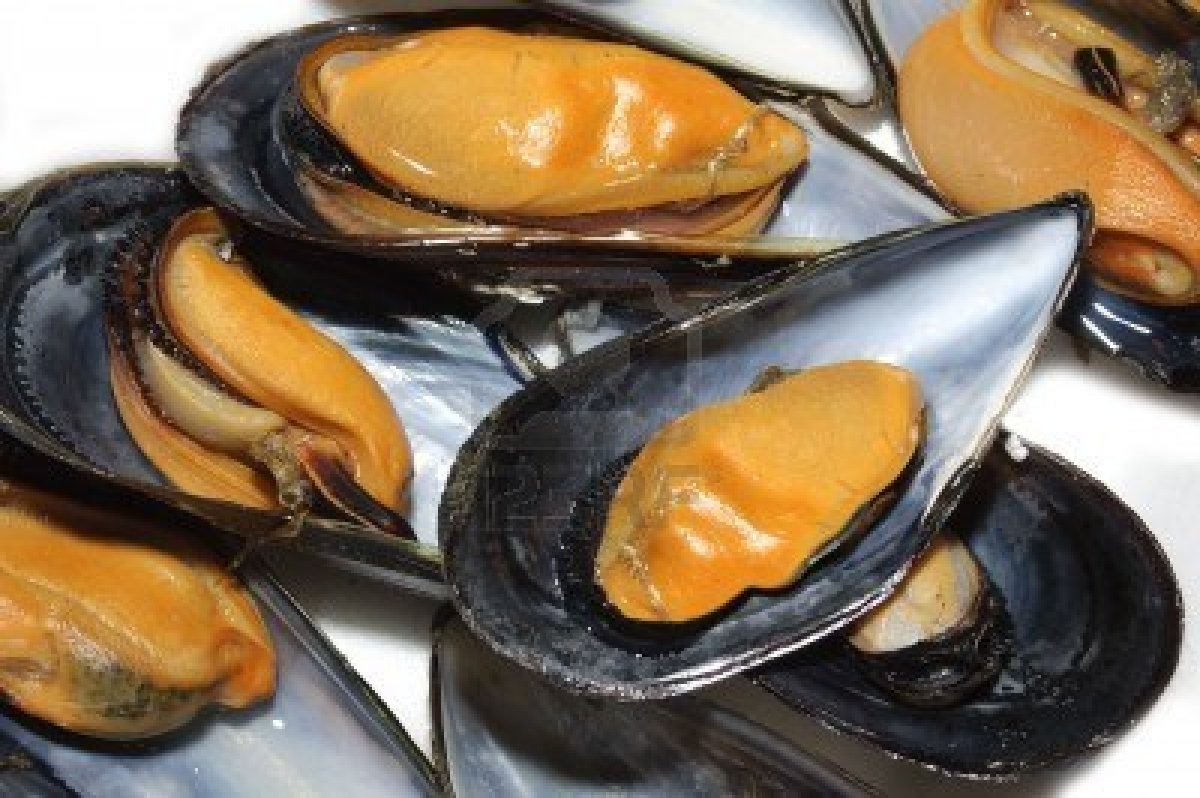 Cozze alla vastese - Giulianova.it